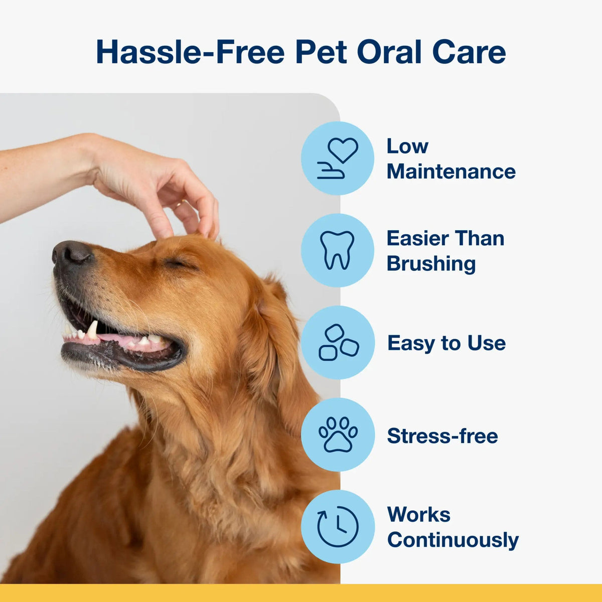 Proden PlaqueOff System® Soft Chews - Dogs - Maize, KS - Andover, KS ...
