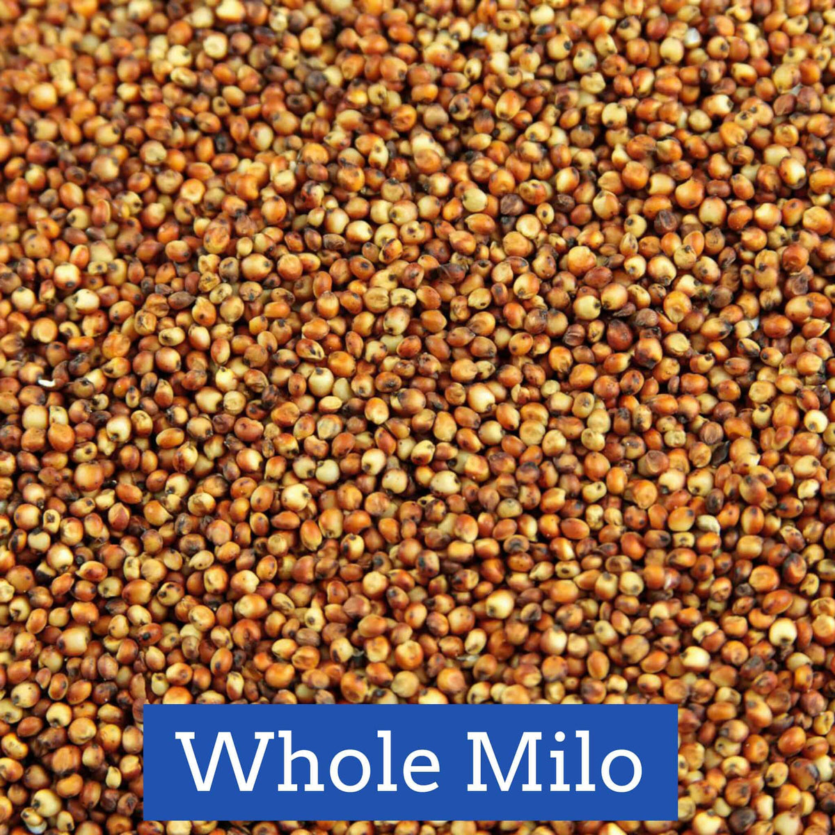 Woodard Mercantile Whole Milo - Maize, KS - Andover, KS - Eureka, KS ...